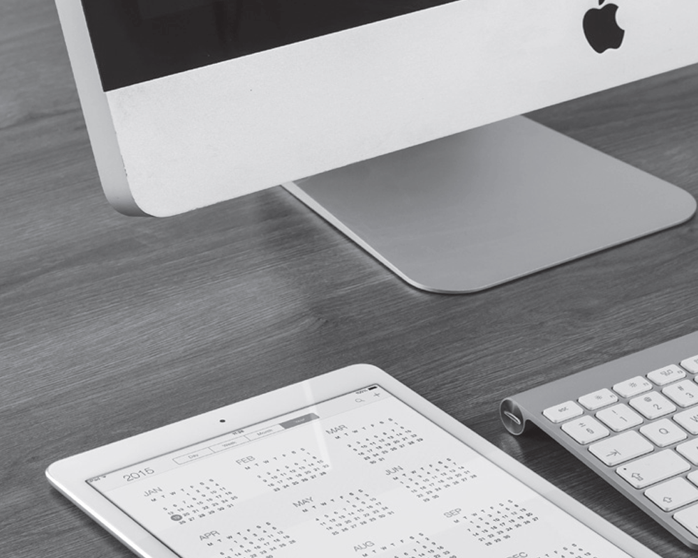 Business Visitor-B2B Arena